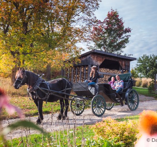 Découvrez l'institution hôtelière | Le Baluchon Éco-Villégiature - Le ...